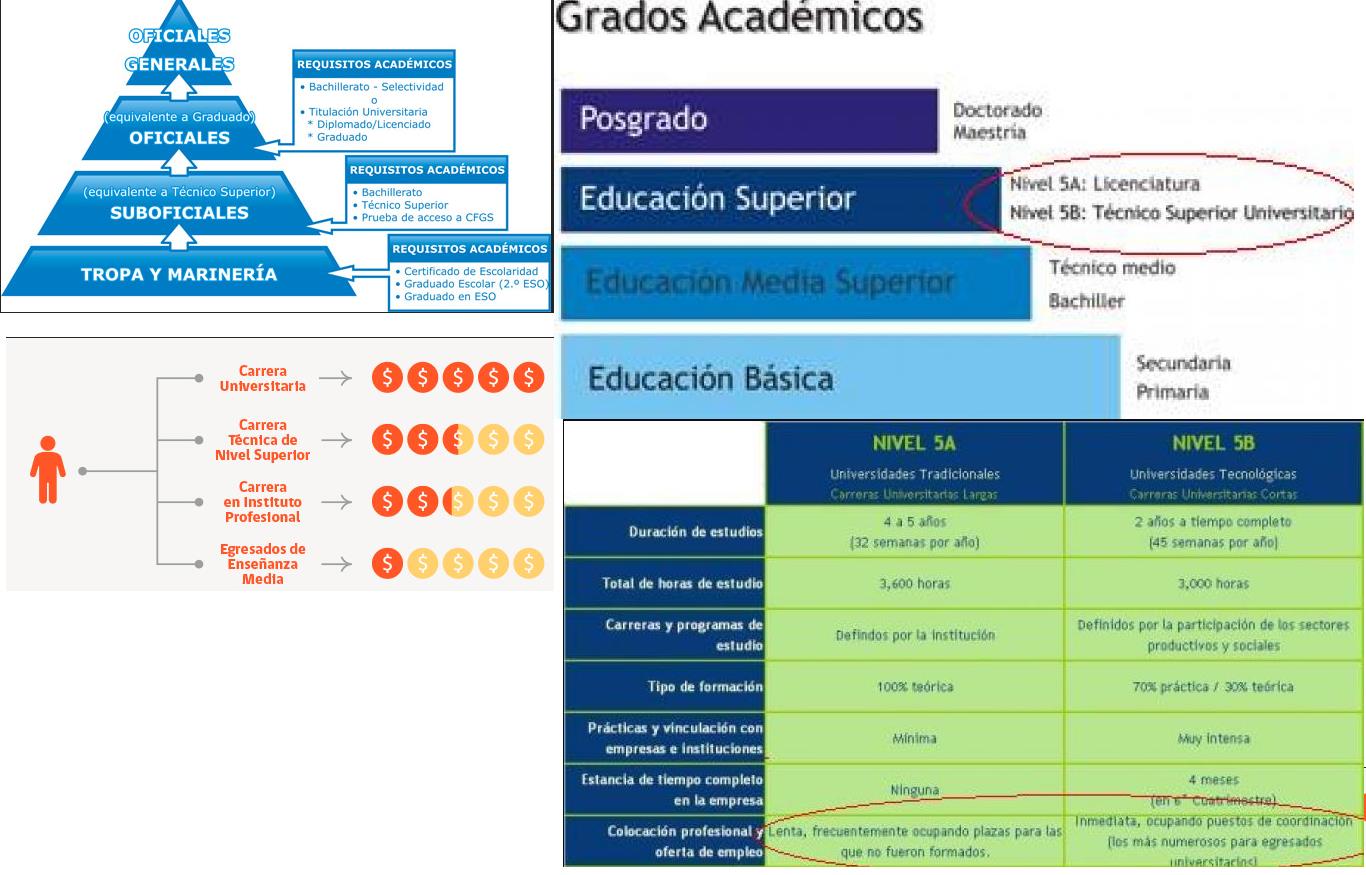 Niveles y grados :: conejon2
